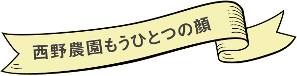 明日葉の産地直送 三宅島 西野農園